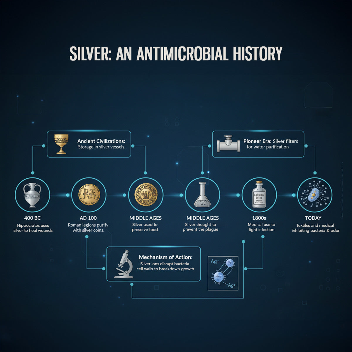 Does Silver Kill Bacteria? | Answers to Your Antimicrobial Questions ...